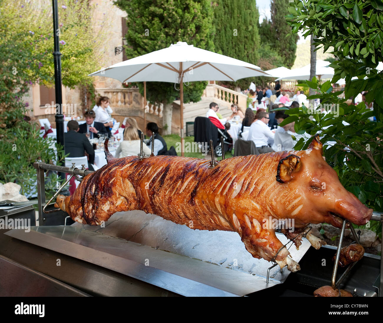 Spit cochon de lait rôti Photo Stock - Alamy