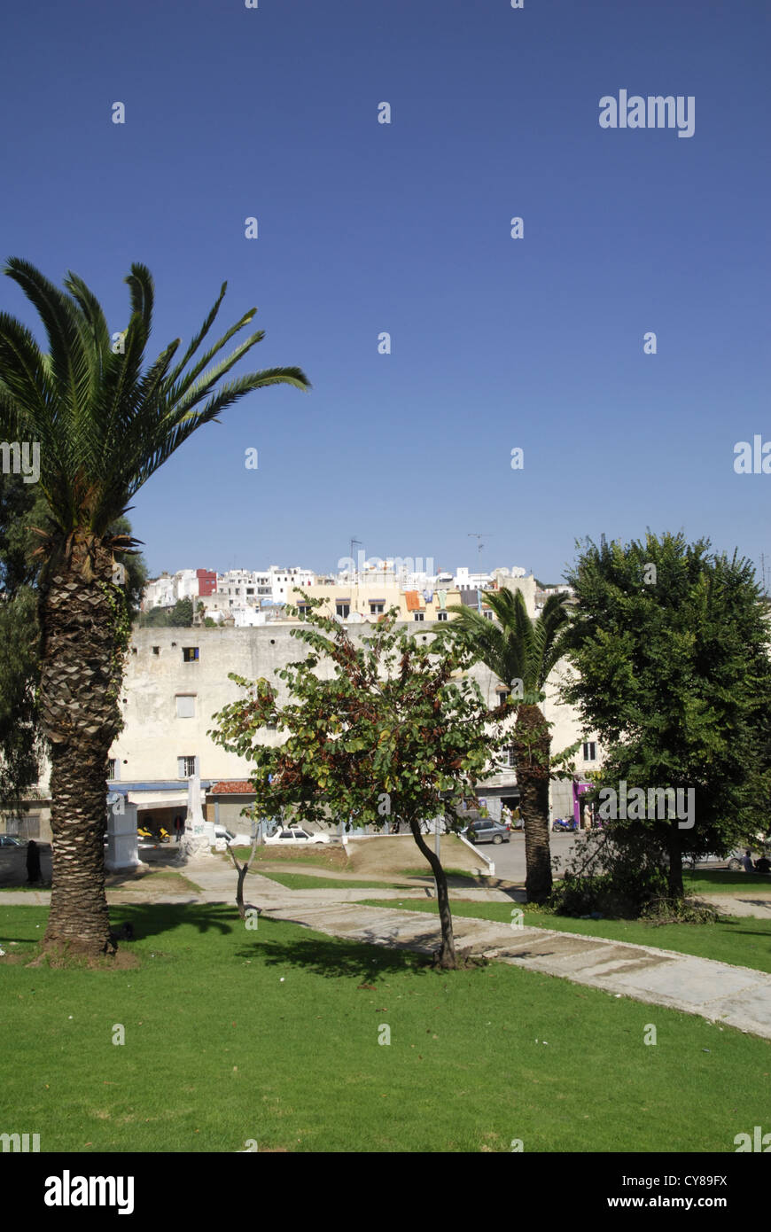 Vert maroc Banque de photographies et d’images à haute résolution - Alamy