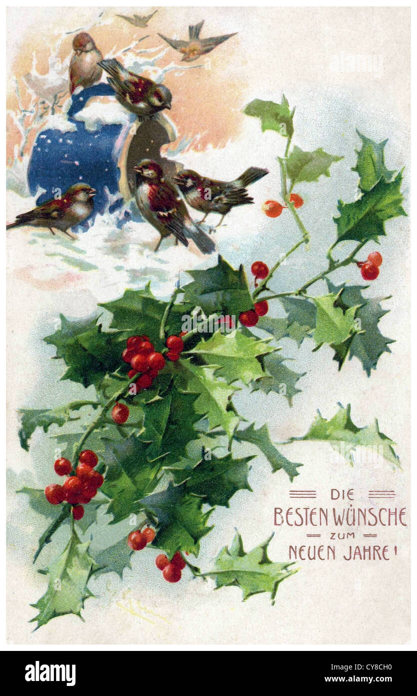 Gui aux fruits rouges Banque de photographies et d’images à haute ...