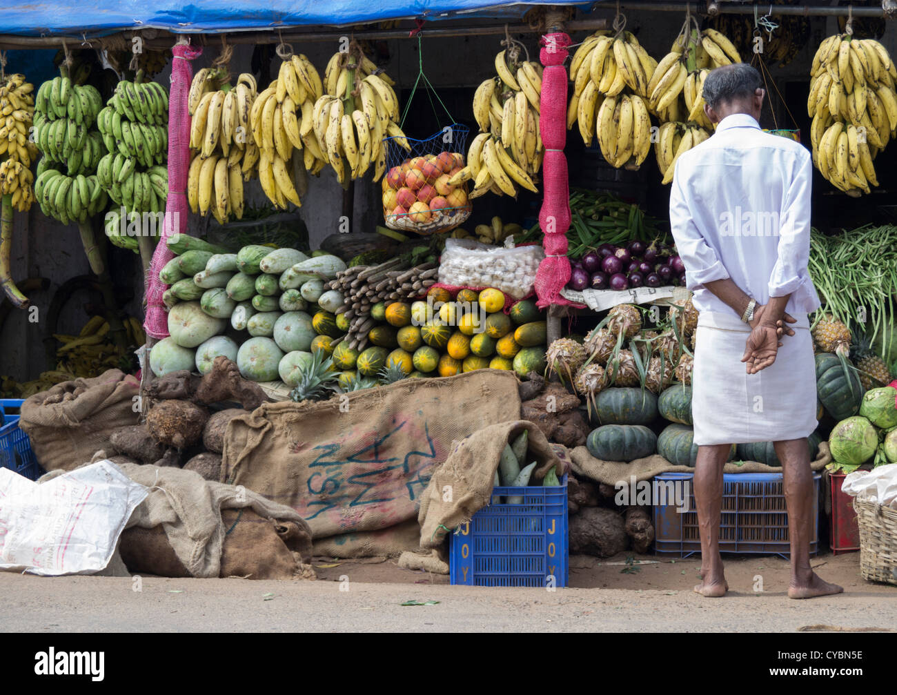 Indias fruits Banque de photographies et d’images à haute résolution ...