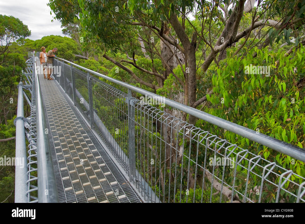 Tree top walk Banque de photographies et d’images à haute résolution ...