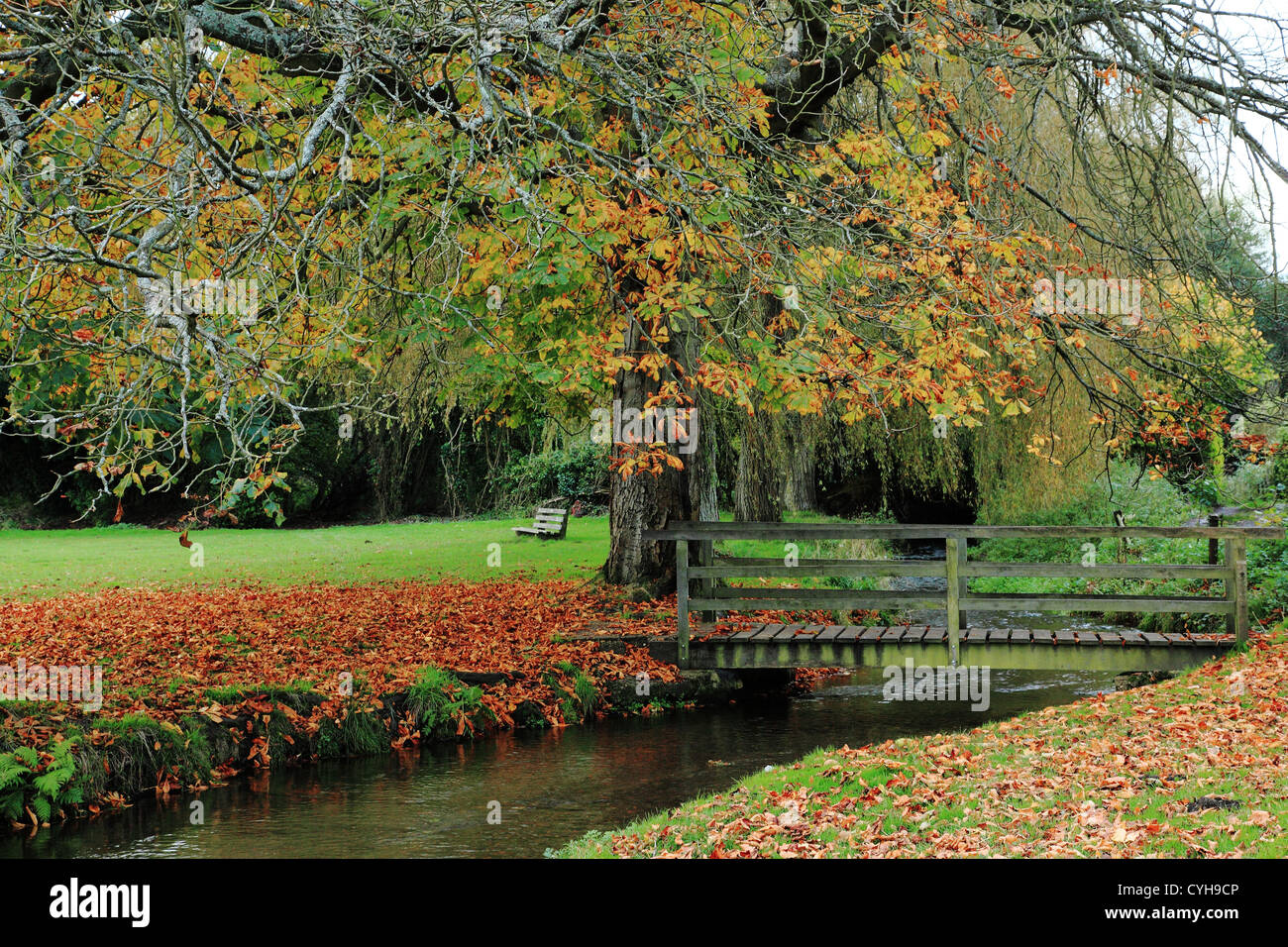 Abinger hammer river Banque de photographies et d’images à haute ...