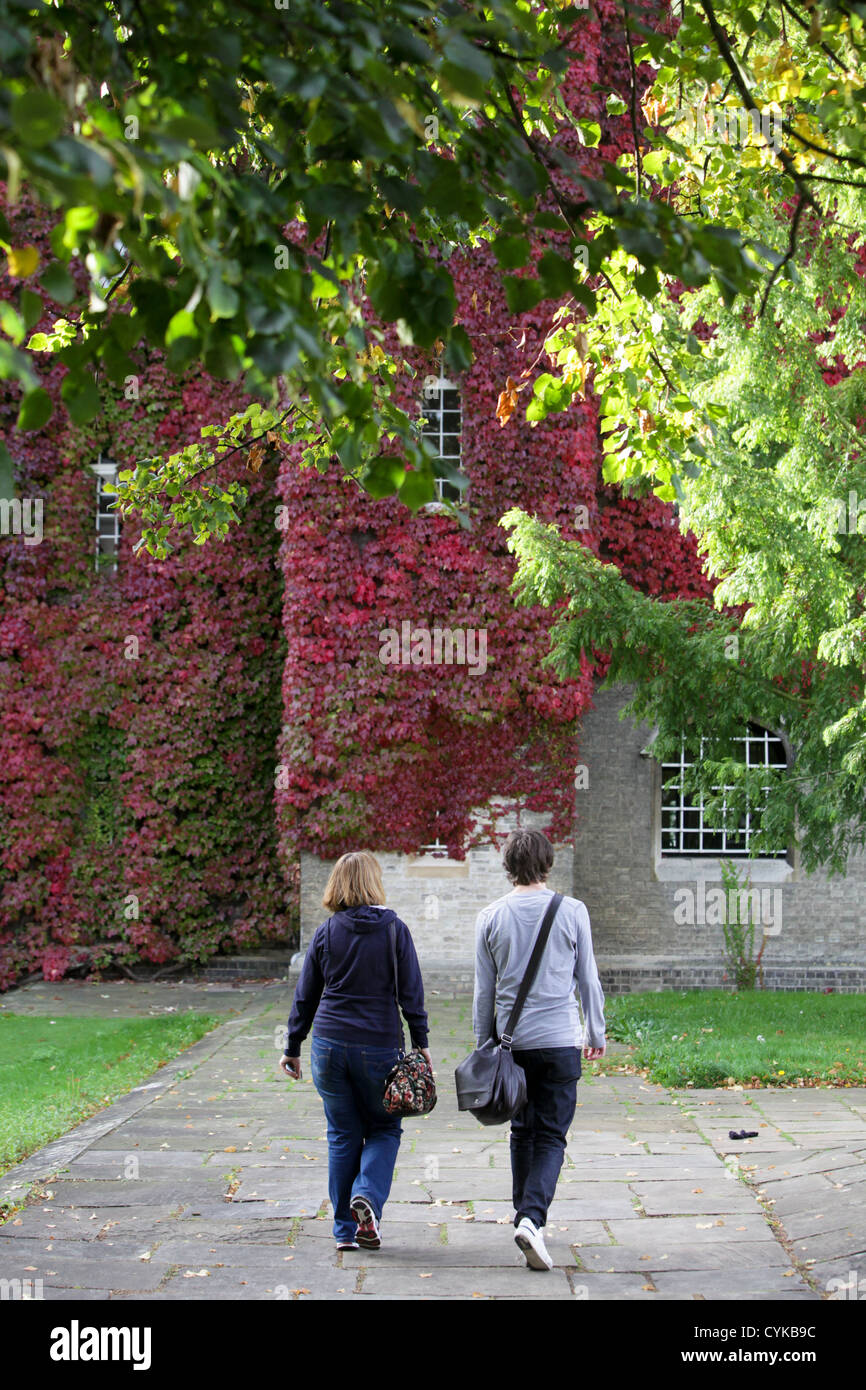 La VIGNE À ST JOHN'S COLLEGE DE CAMBRIDGE QUI EST DEVENU ROUGE À TEMPS ...
