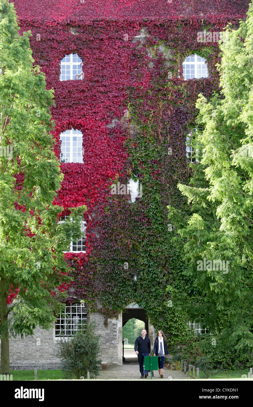 La VIGNE À ST JOHN'S COLLEGE DE CAMBRIDGE QUI EST DEVENU ROUGE À TEMPS ...