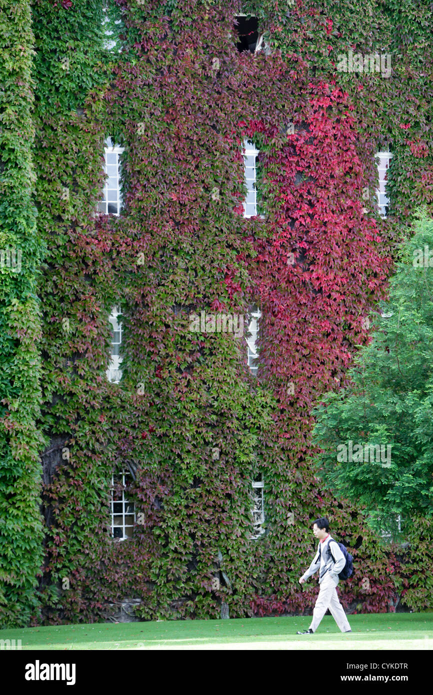 La VIGNE À ST JOHN'S COLLEGE DE CAMBRIDGE QUI EST DEVENU ROUGE À TEMPS ...