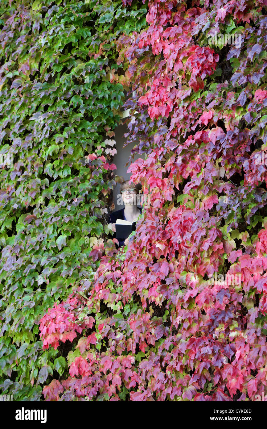 La VIGNE À ST JOHN'S COLLEGE DE CAMBRIDGE QUI EST DEVENU ROUGE À TEMPS ...