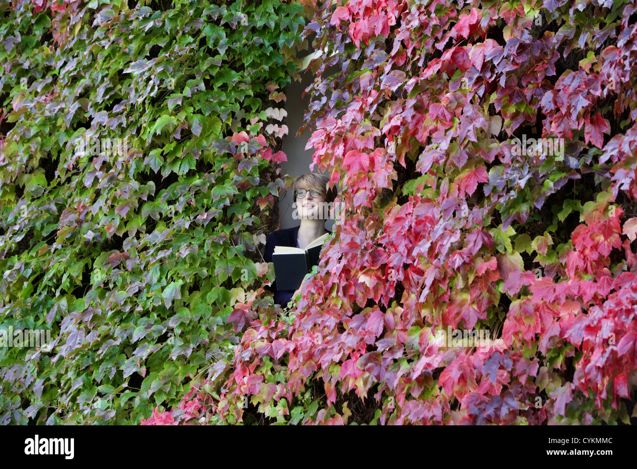 La VIGNE À ST JOHN'S COLLEGE DE CAMBRIDGE QUI EST DEVENU ROUGE À TEMPS ...