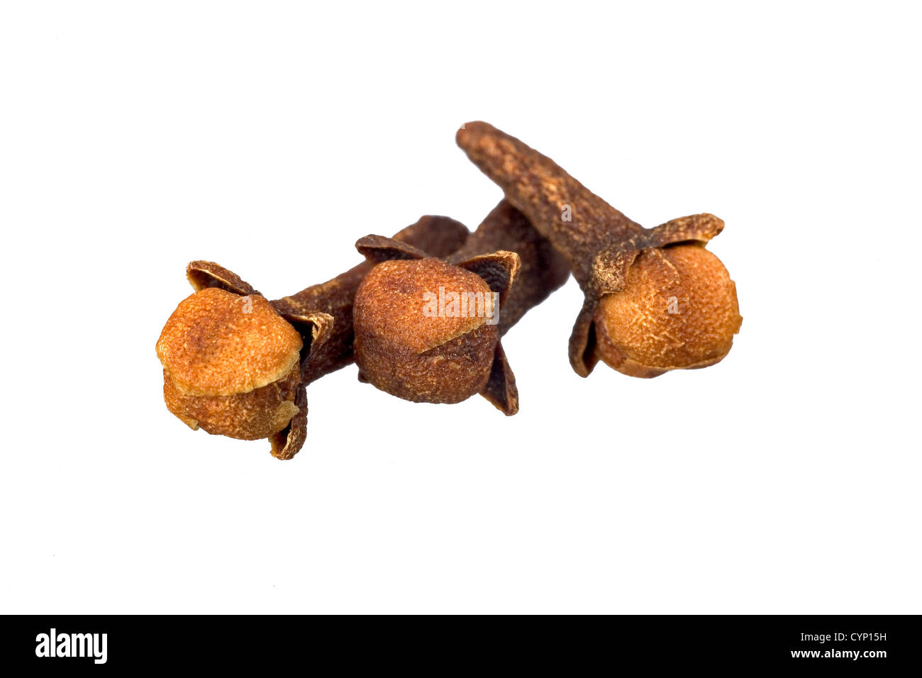 Gousse de girofle Banque de photographies et d’images à haute ...