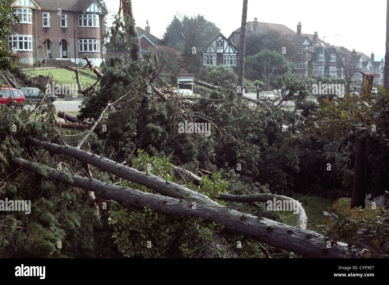Les dommages causés aux arbres d'Alexandra Park, Hastings, lors du ...