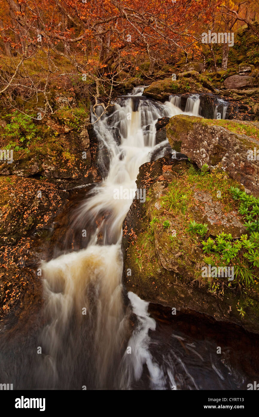 Inversnaid falls loch lomond scotland Banque de photographies et d ...