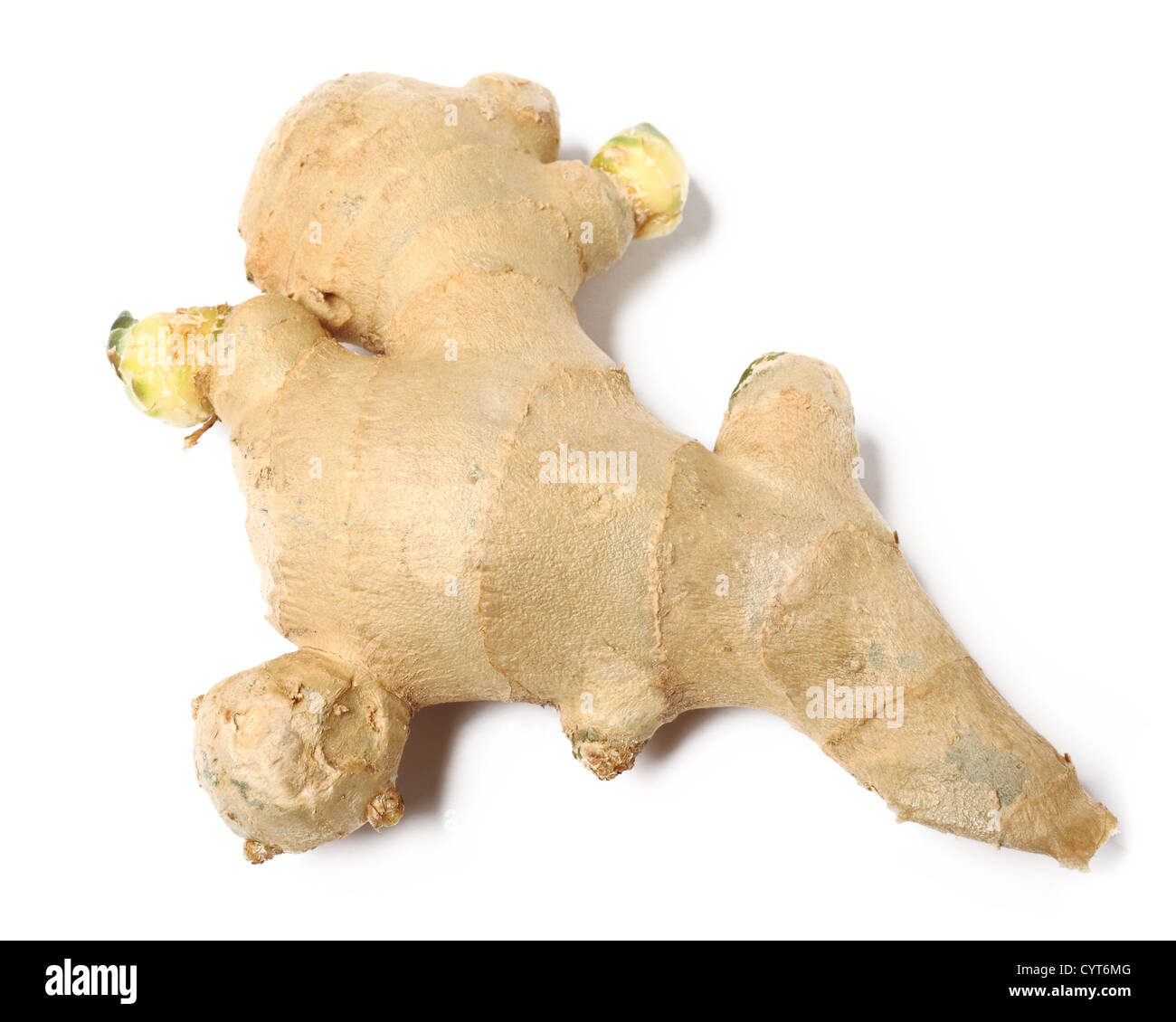 Gingembre indien Banque d'images détourées - Alamy