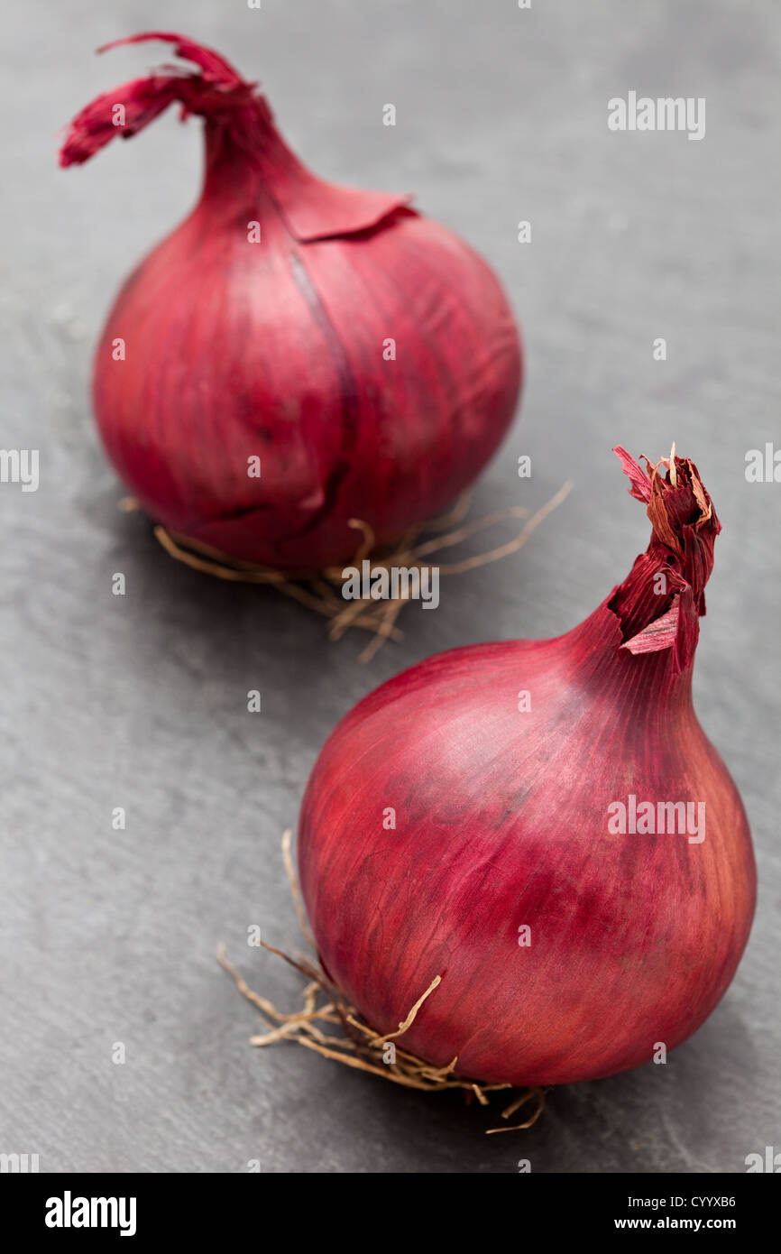 Oignons rouges sur fond blanc Banque de photographies et d’images à ...