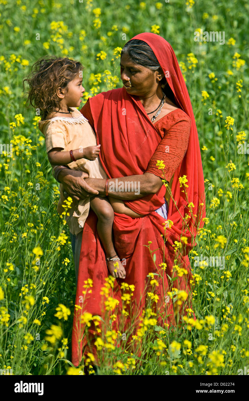 Faire Pousser Des Herbes Dans La Campagne Indienne Banque De