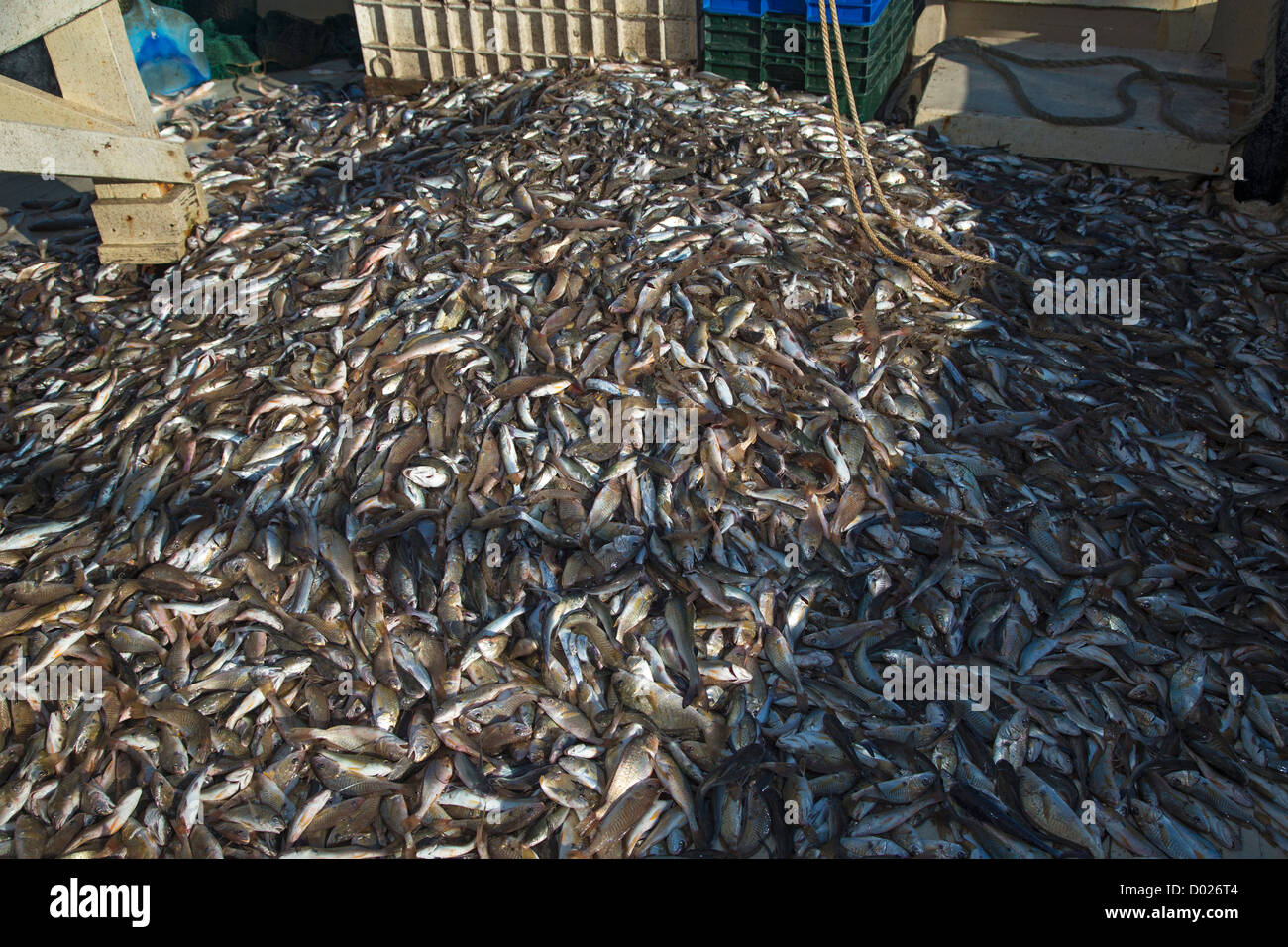 Chalutier À Crevettes Banque d'image et photos - Alamy