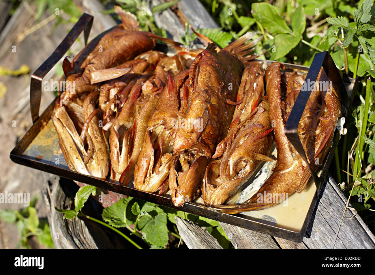 Poisson fumé à chaud Banque de photographies et d’images à haute ...