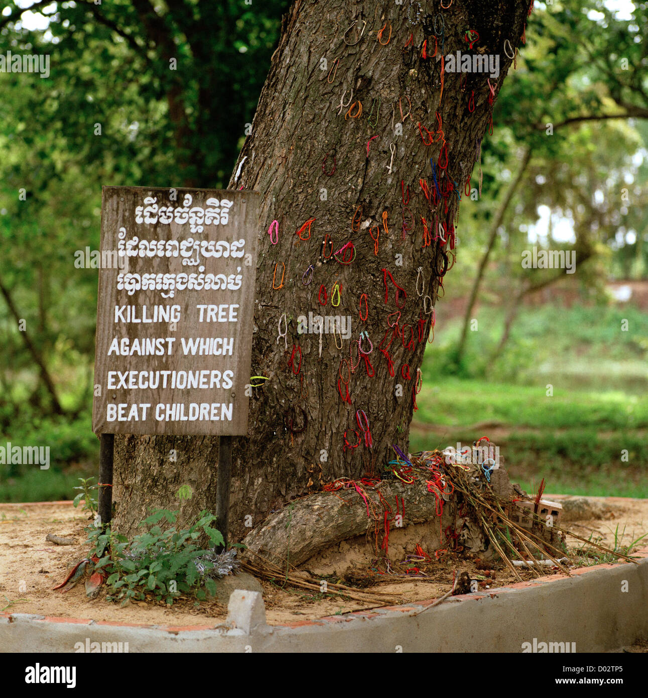 Arbre mort à Choeung Ek Killing Fields à Phnom Penh Cambodge Extrême ...