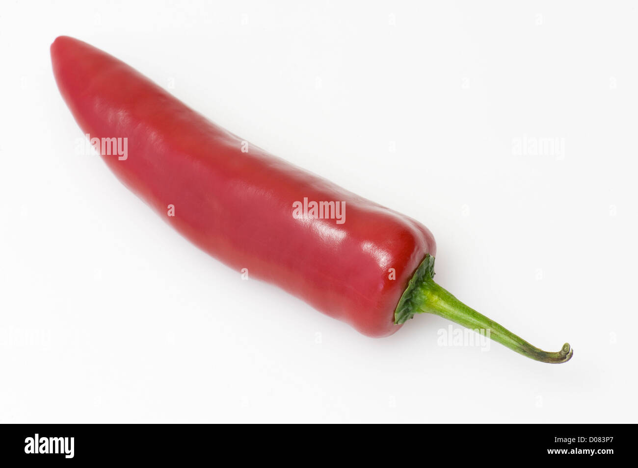 Plante de piment jalapeno rouge Banque de photographies et d’images à ...