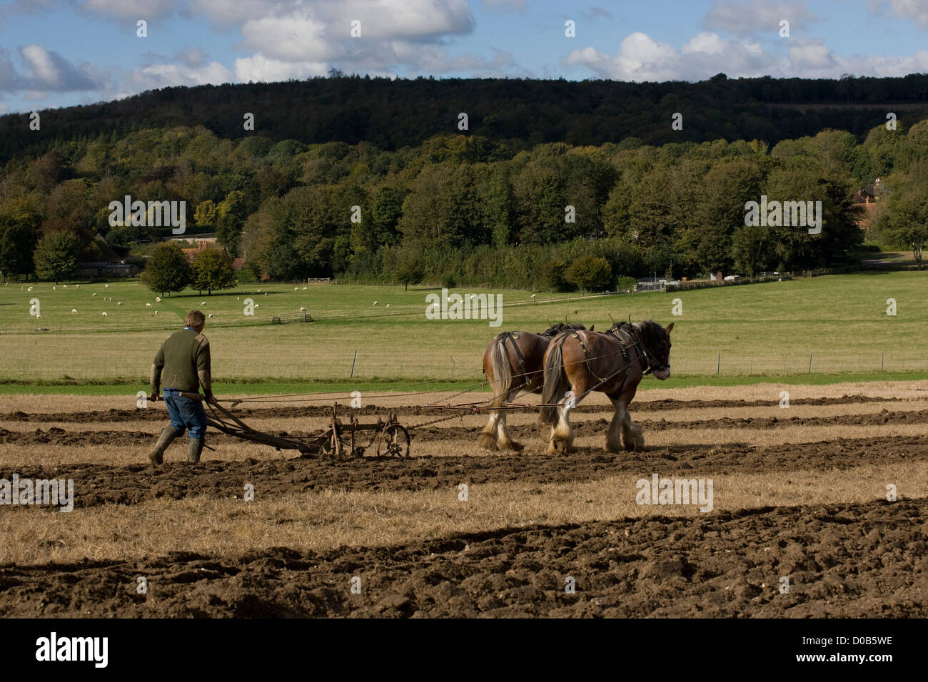 Labour de cheval traditionnel Banque de photographies et d’images à ...