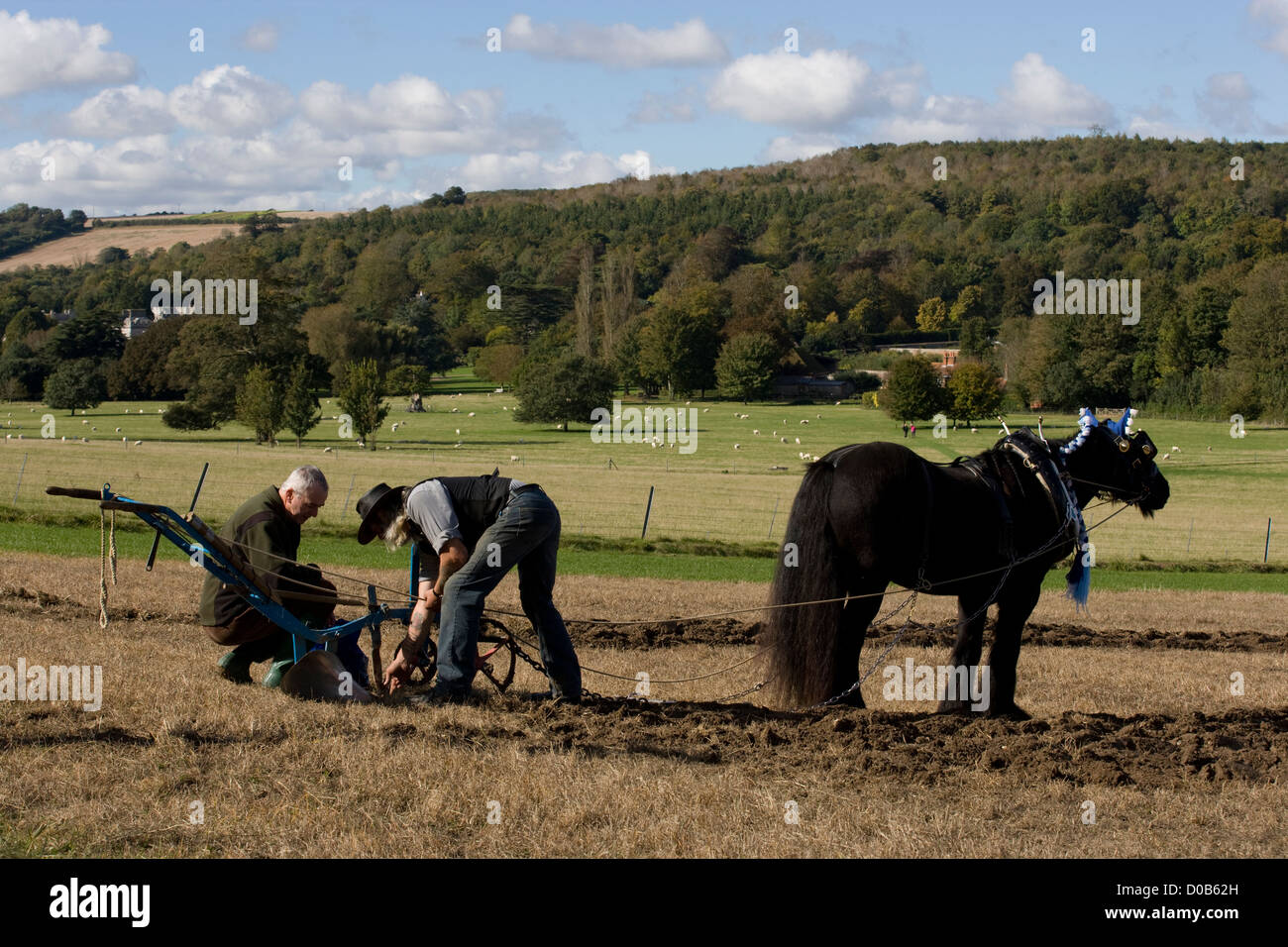 Labour de cheval traditionnel Banque de photographies et d’images à ...