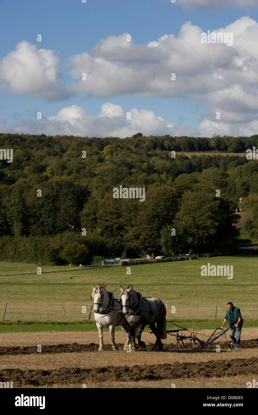 Labour de cheval traditionnel Banque de photographies et d’images à ...