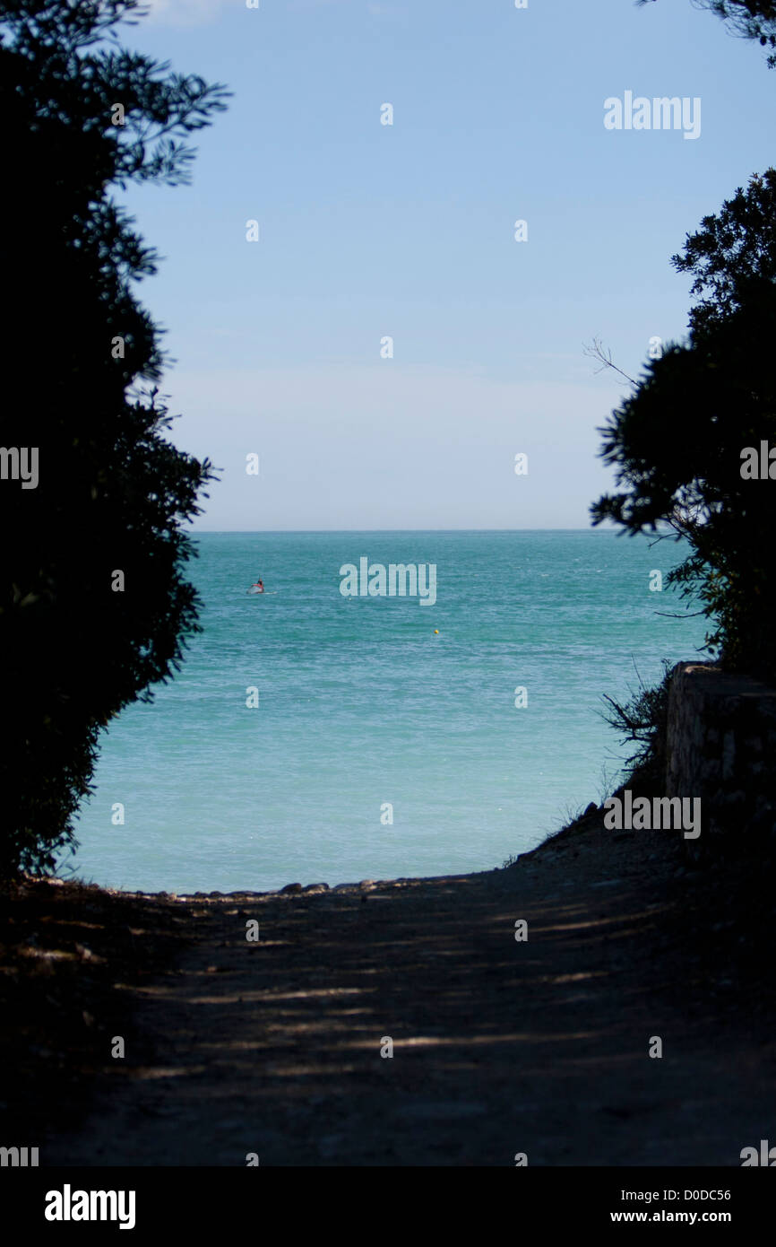 Mer et arbres Banque de photographies et d’images à haute résolution ...