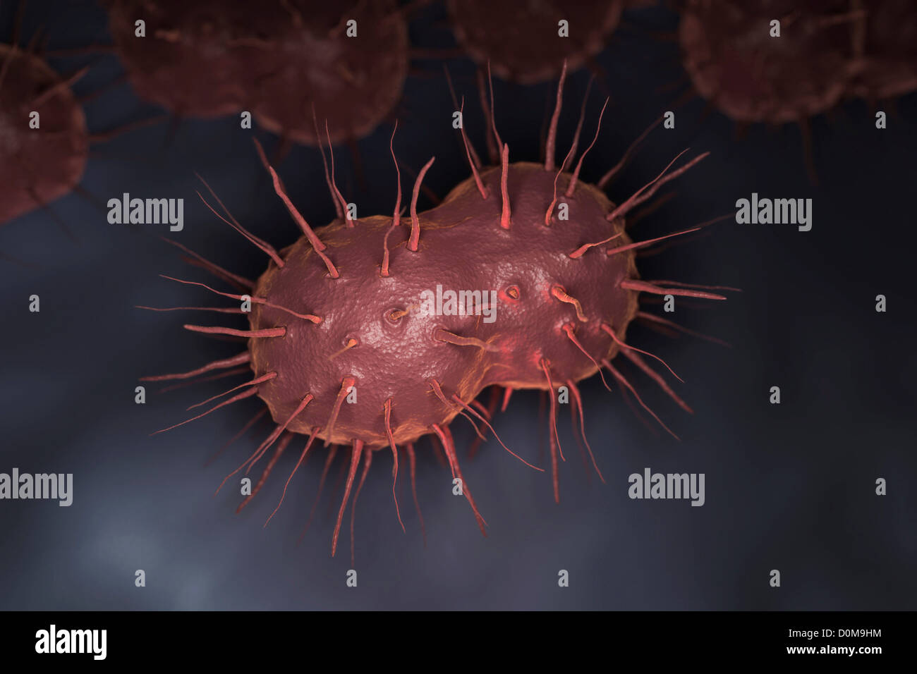 Visualisation conceptuelle de la bactérie qui cause la gonorrhée La ...