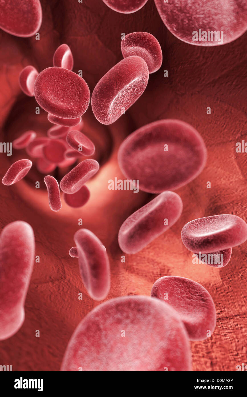 Electromicrograph la numérisation des globules rouges de style dans un ...