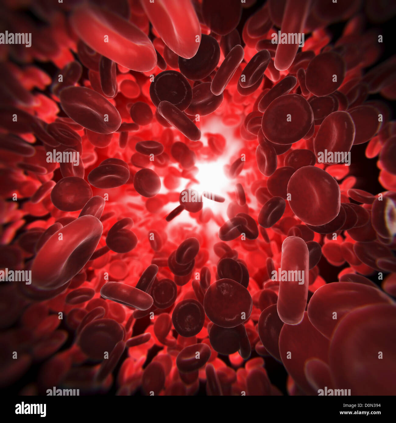 Une collection d'érythrocytes ou globules rouges qui sont les plus ...