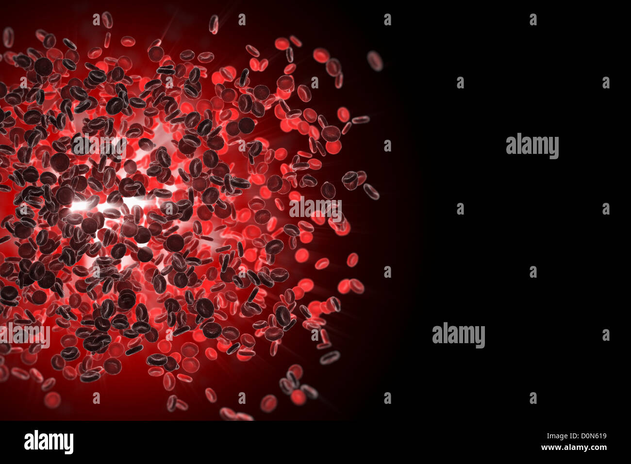 Une collection d'érythrocytes ou globules rouges qui sont les plus ...