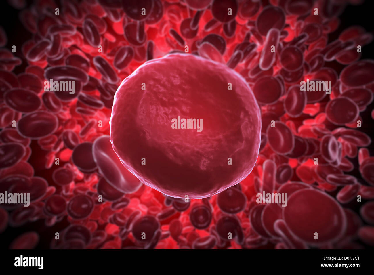 Une collection d'érythrocytes ou globules rouges qui sont les plus ...