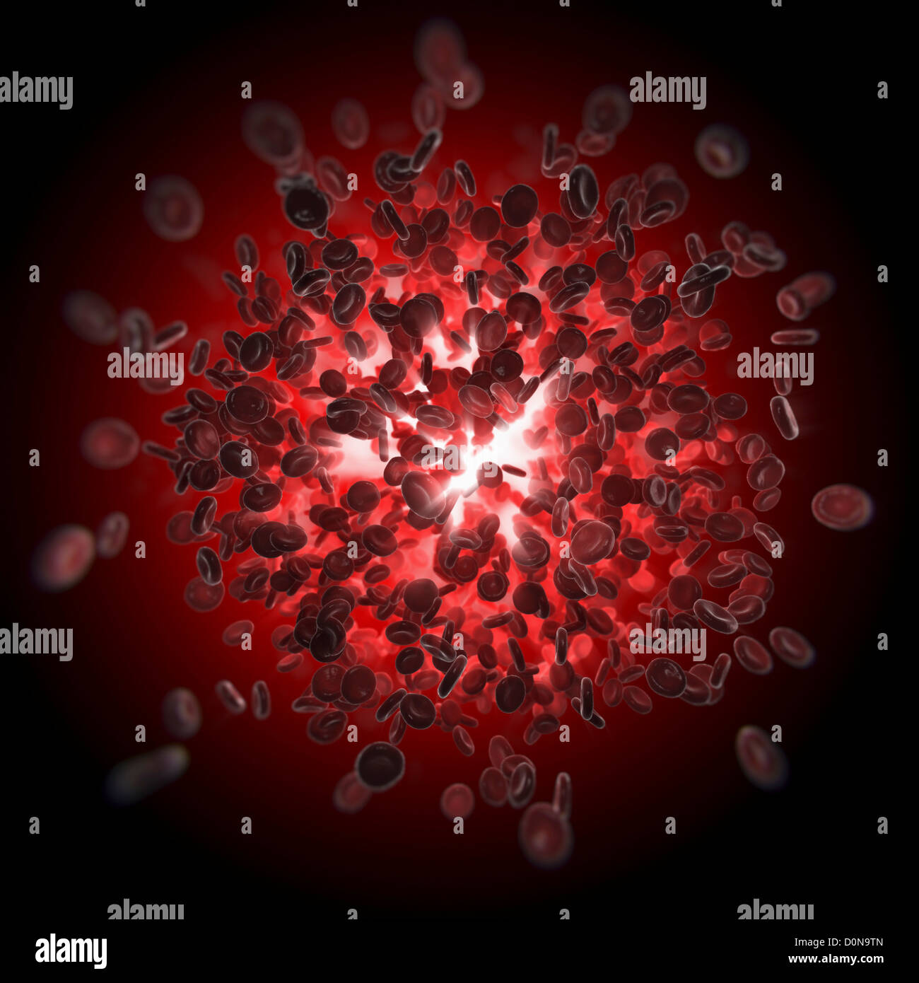 Une collection d'érythrocytes ou globules rouges qui sont les plus ...