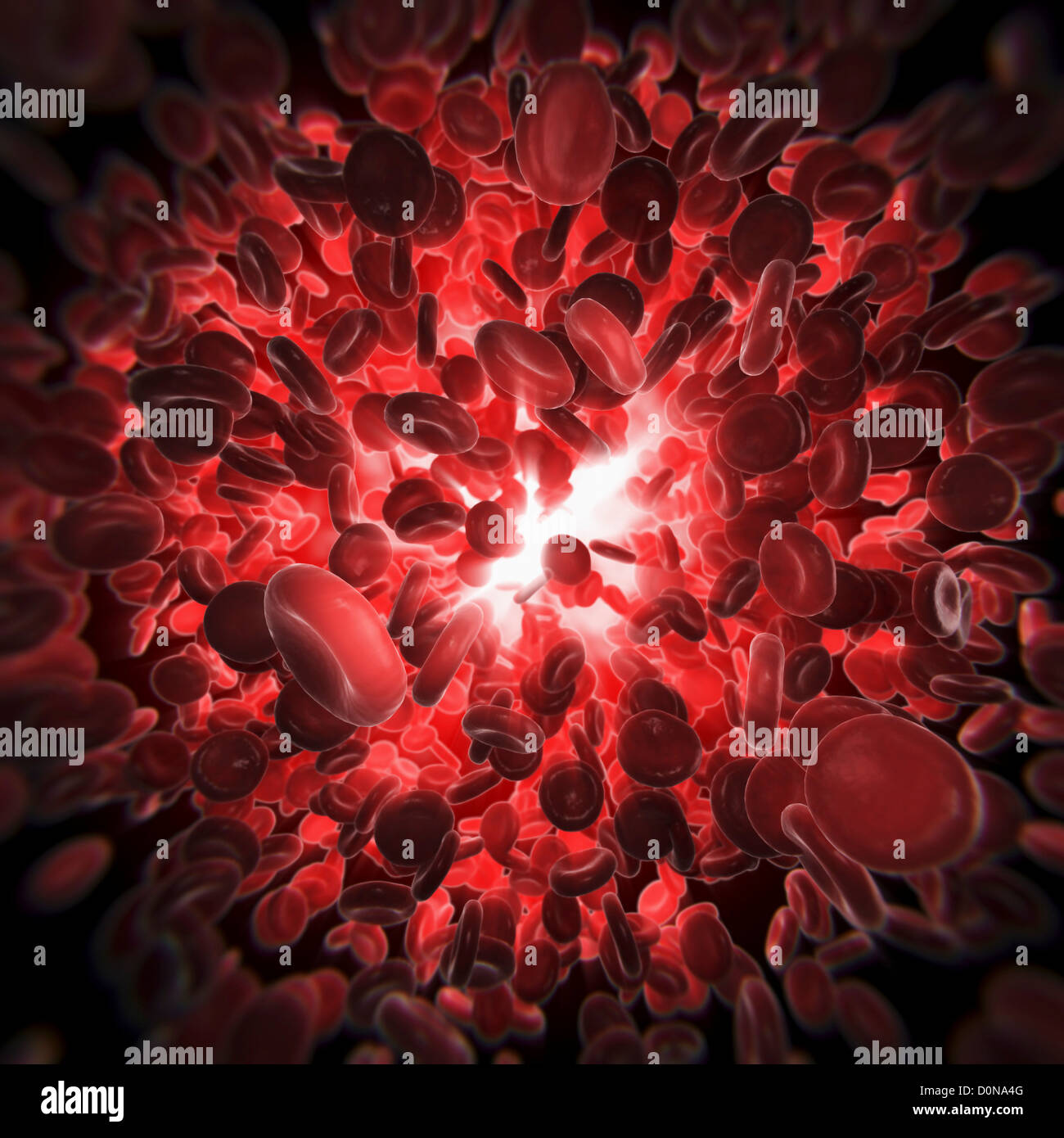 Une collection d'érythrocytes ou globules rouges qui sont les plus ...