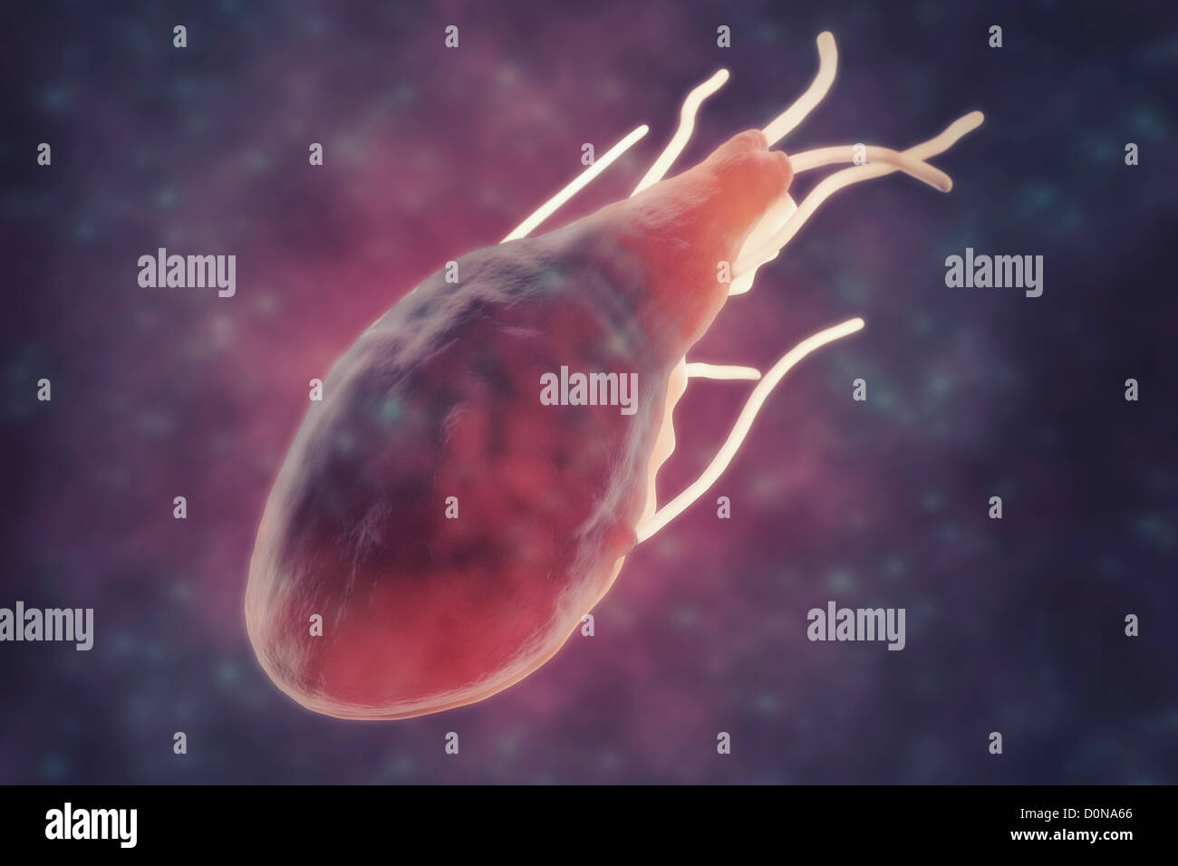 Protozoaire flagellé Banque de photographies et d’images à haute ...