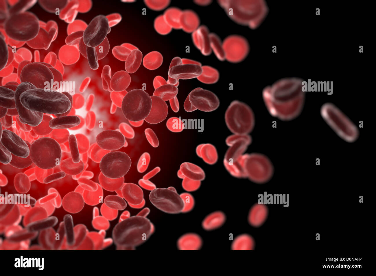 Une collection d'érythrocytes ou globules rouges qui sont les plus ...