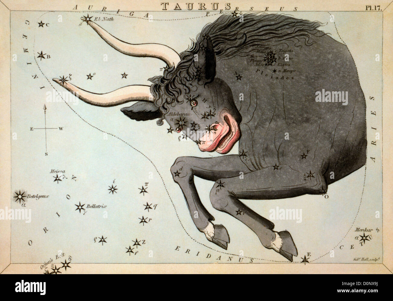 Carte De La Constellation Du Taureau