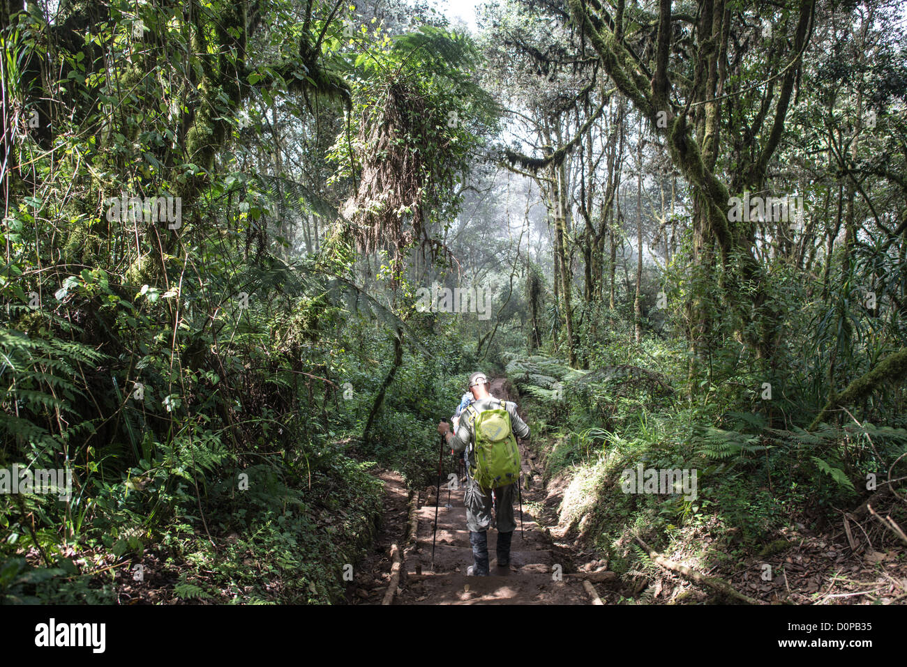 Mweka gate Banque de photographies et d’images à haute résolution - Alamy