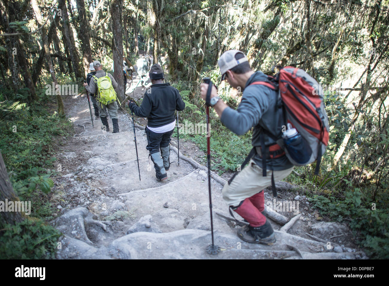 Mweka gate Banque de photographies et d’images à haute résolution - Alamy