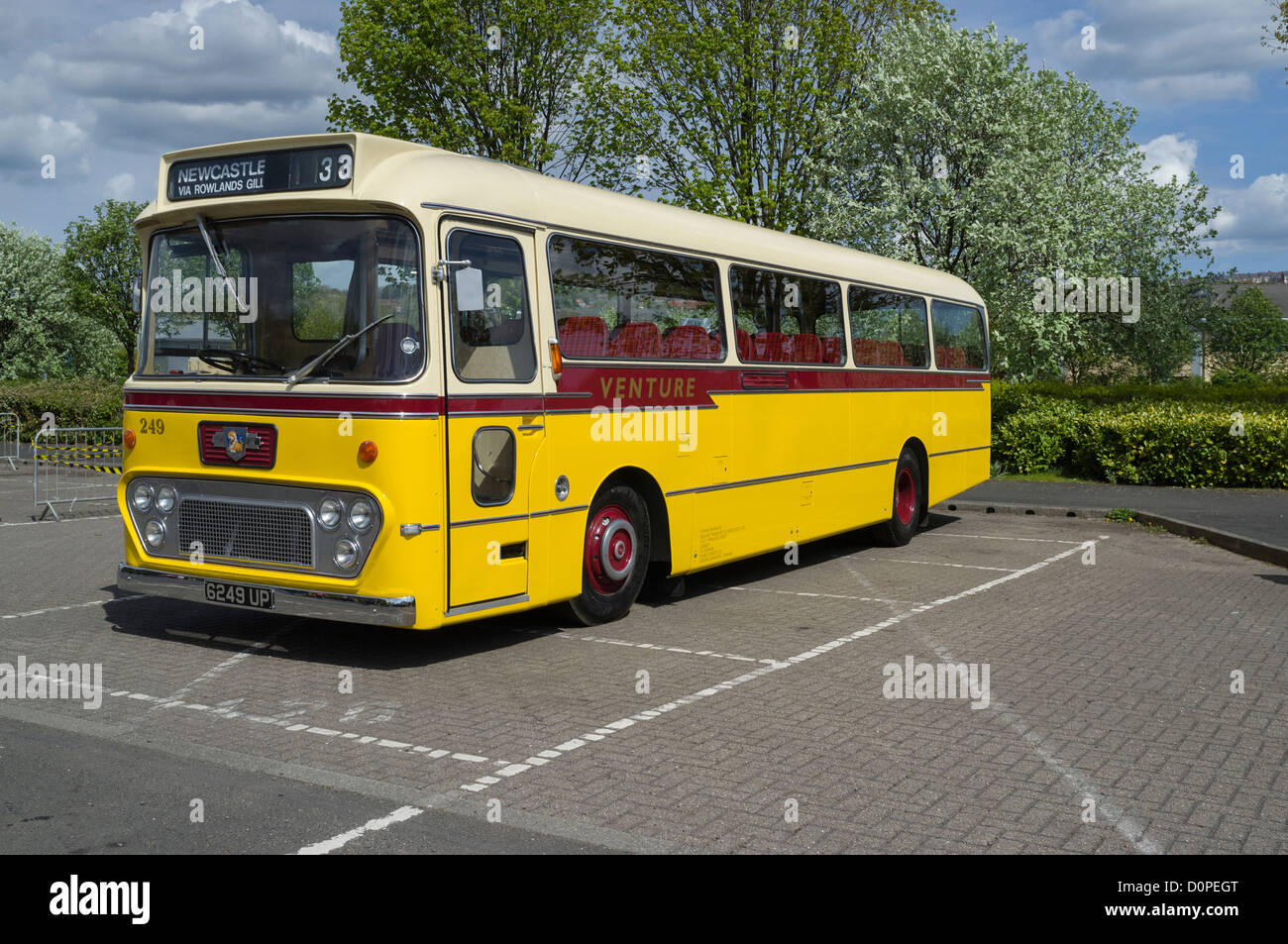 Léopard leyland Banque de photographies et d’images à haute résolution ...