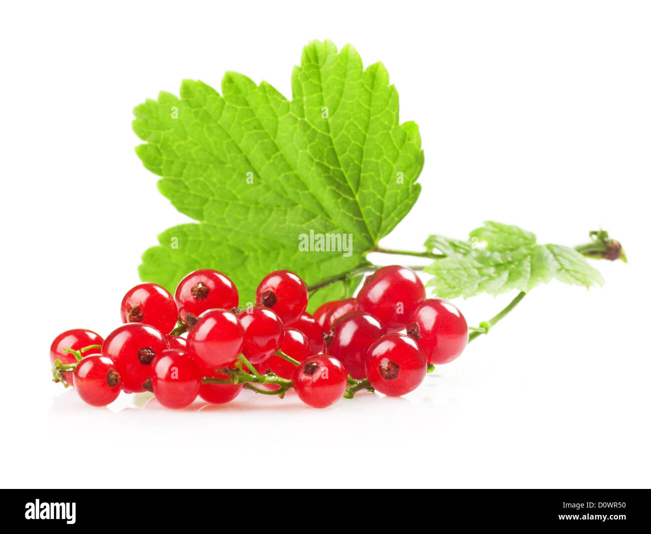 Groseille verte Banque d'images détourées - Alamy