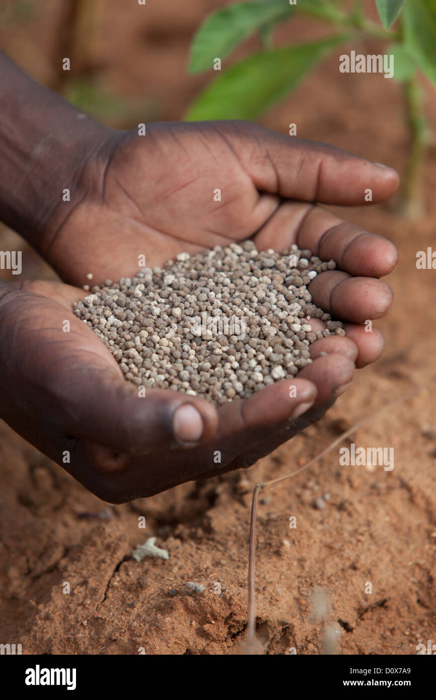 Nitrogen fertilizer Banque de photographies et d’images à haute ...