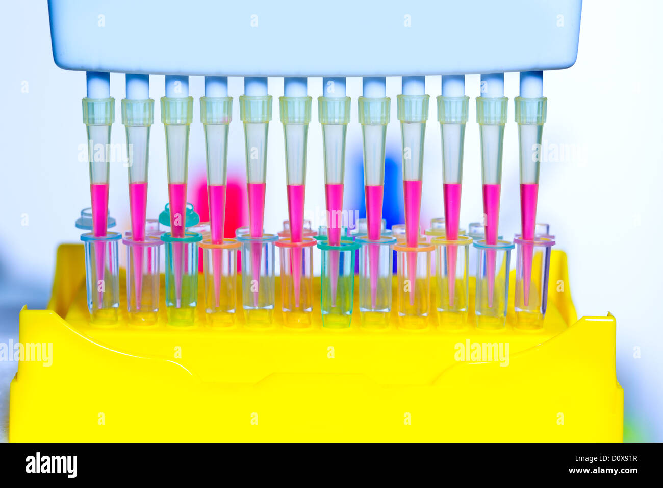 Laboratoire scientifique chimique pipette multicanaux et tubes à essai ...