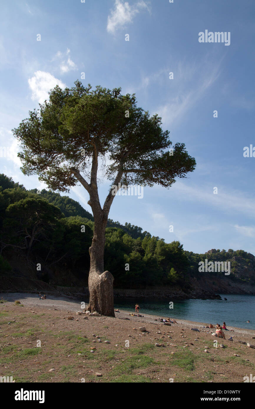 Cala Tuent Sa Calobra Tramuntana Majorque mer Méditerranée EUROPE ...