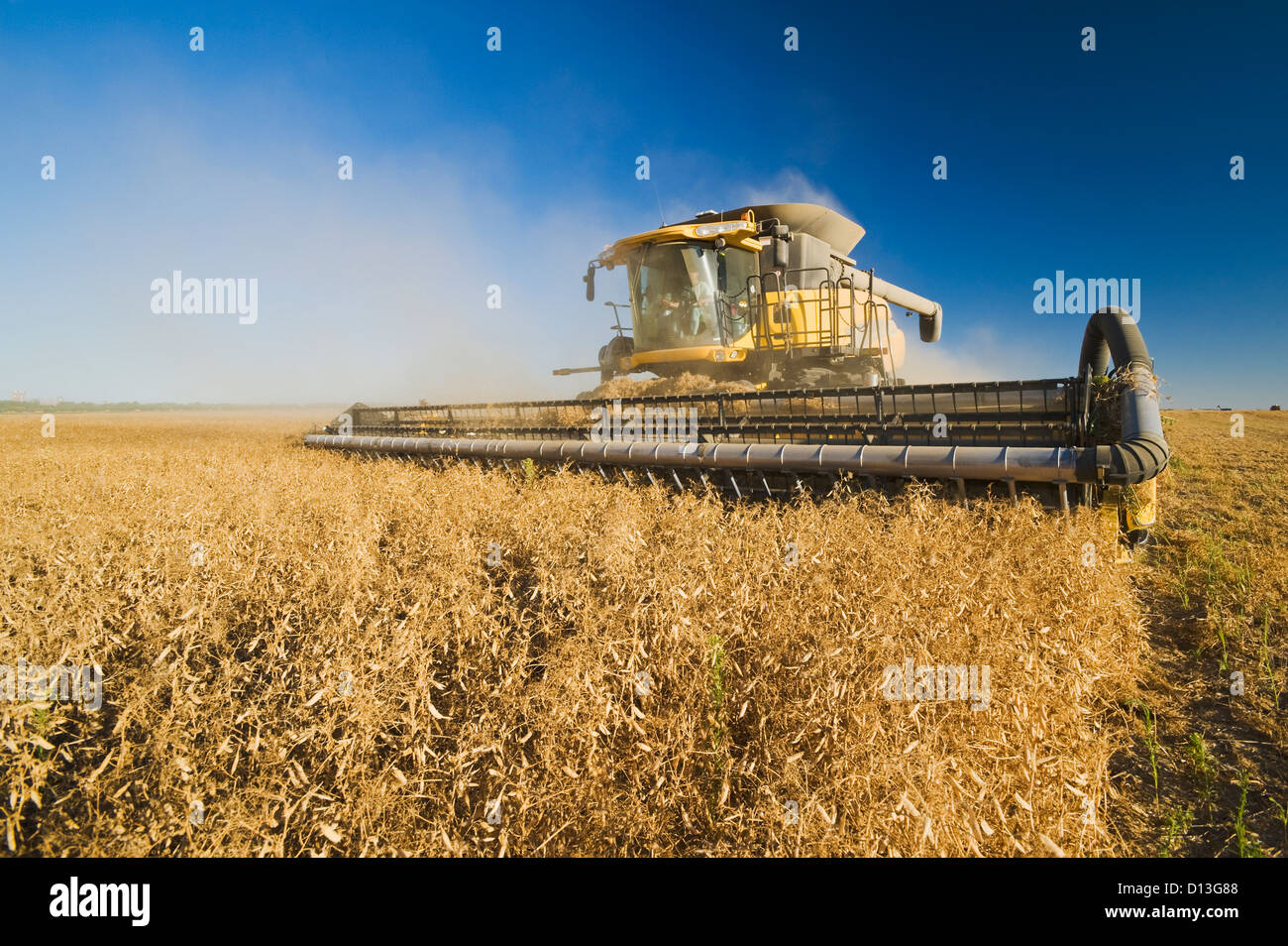 Ponteix saskatchewan Banque de photographies et d’images à haute ...