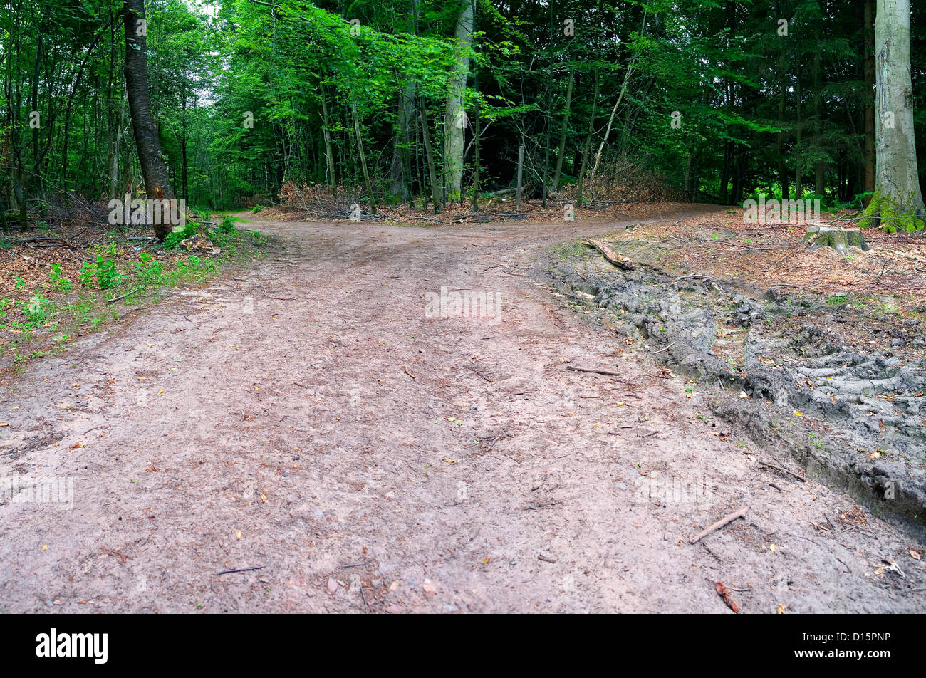 Intersection dans un chemin de terre Banque de photographies et d ...