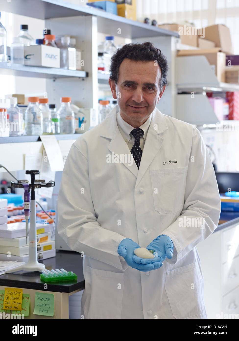 Regenerative medicine Banque de photographies et d’images à haute ...