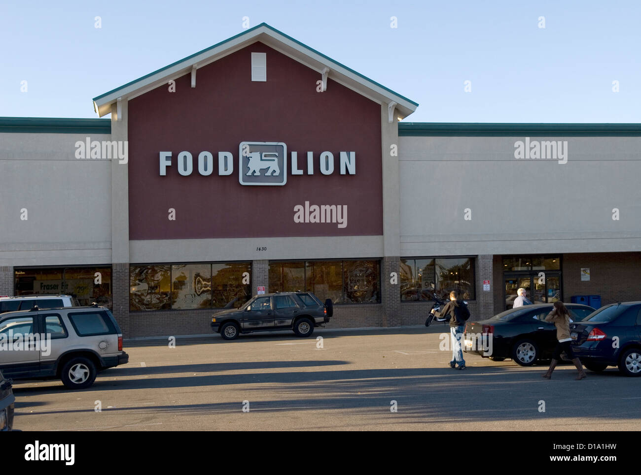 Lion store Banque de photographies et d’images à haute résolution - Alamy
