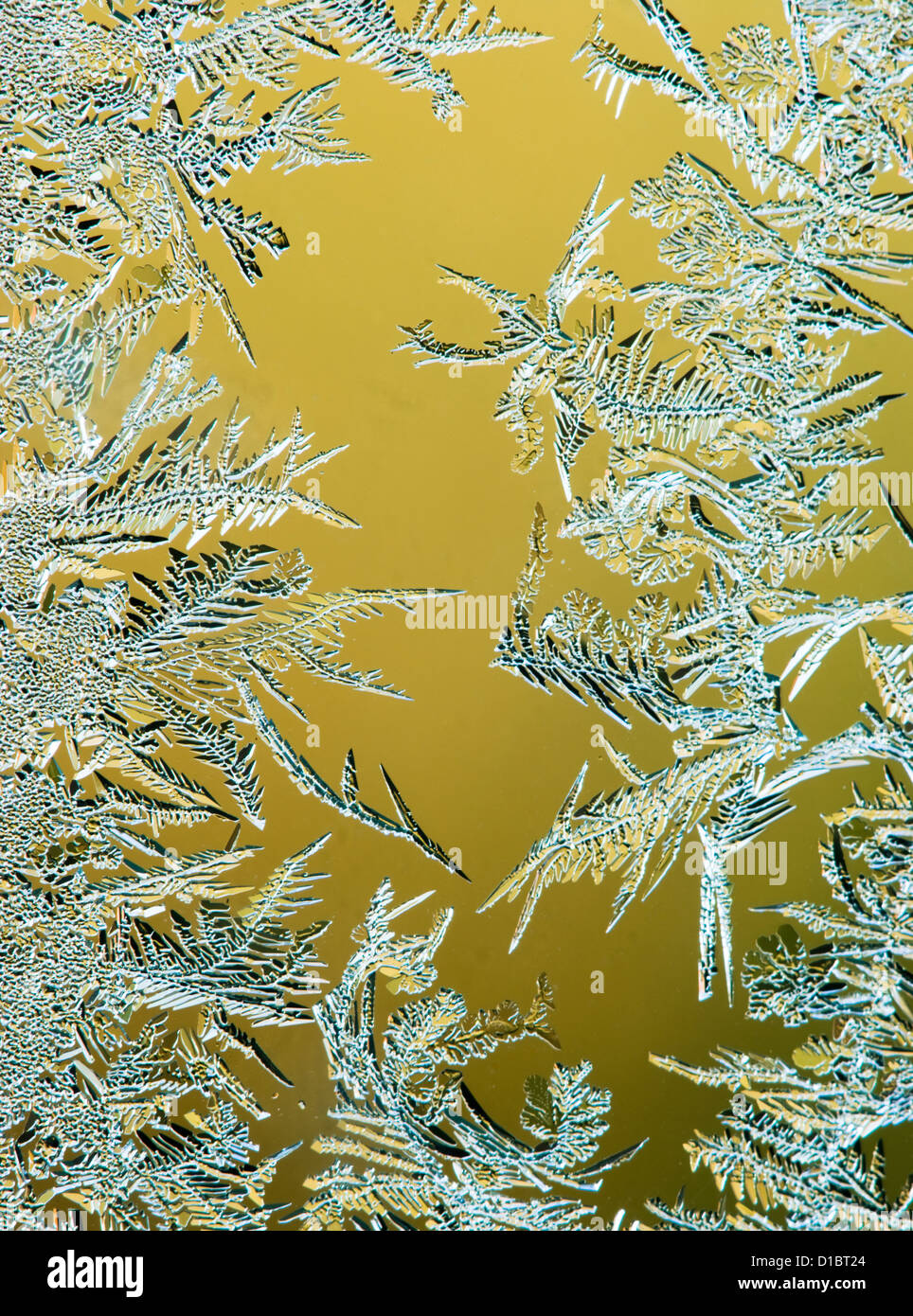 Le givre Banque de photographies et d’images à haute résolution - Alamy