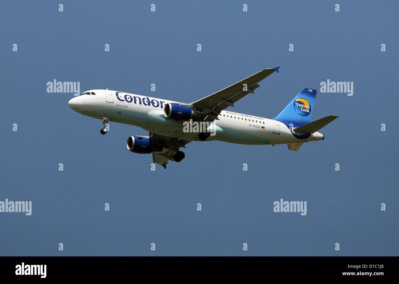 Condor logo Banque de photographies et d’images à haute résolution - Alamy