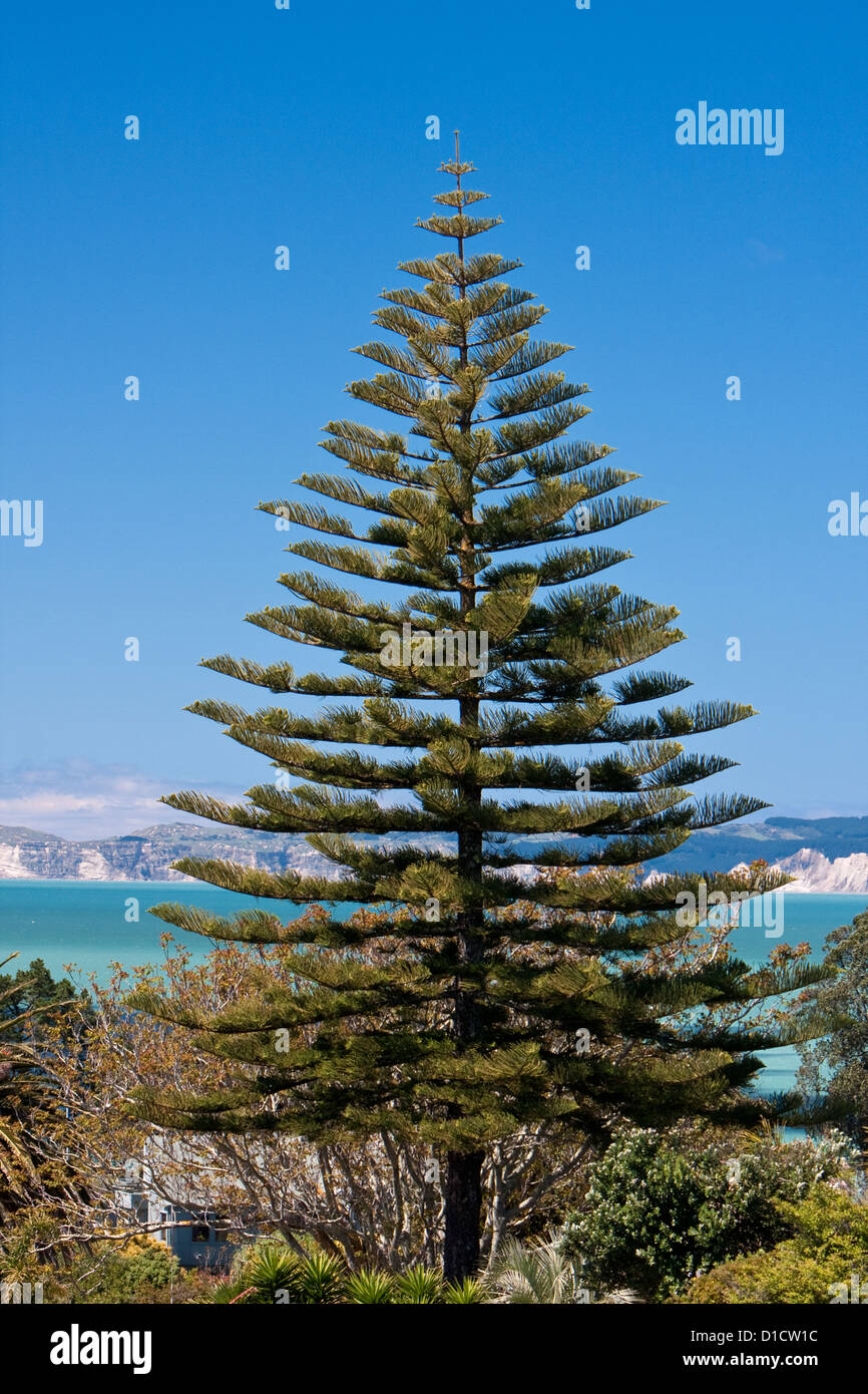 Pin triangle Banque de photographies et d’images à haute résolution - Alamy