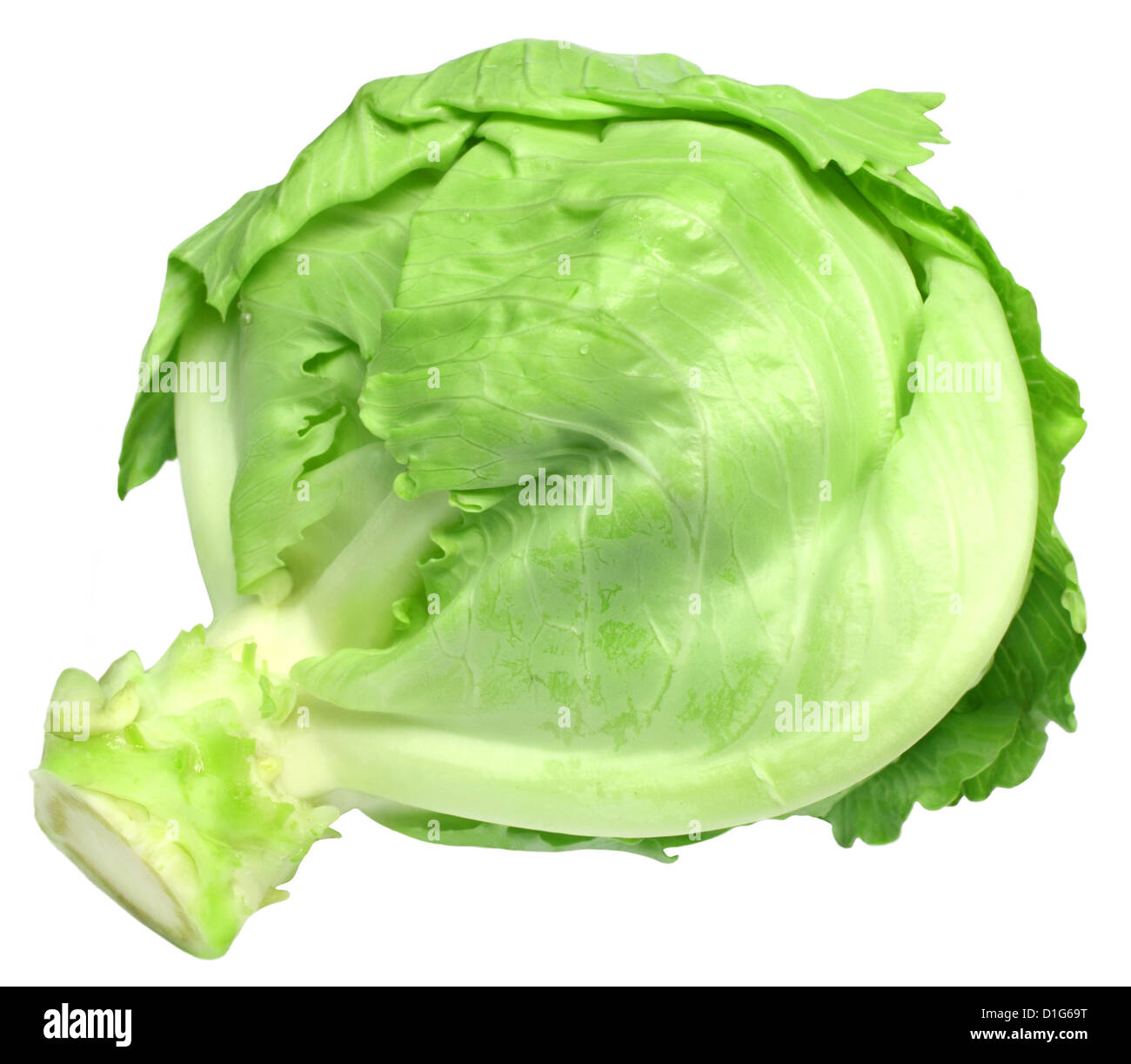 Eau de feuille de chou kale Banque d'images détourées - Alamy